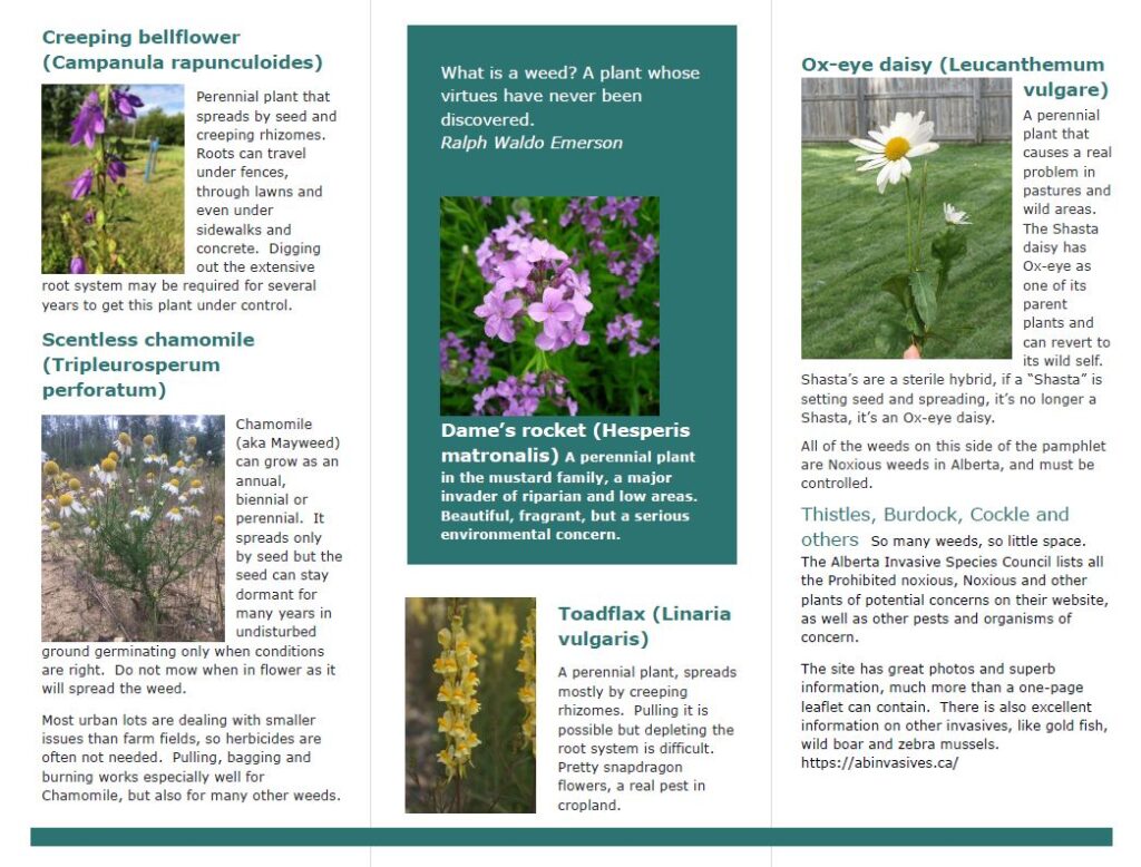 Weed Information – Village of Donnelly